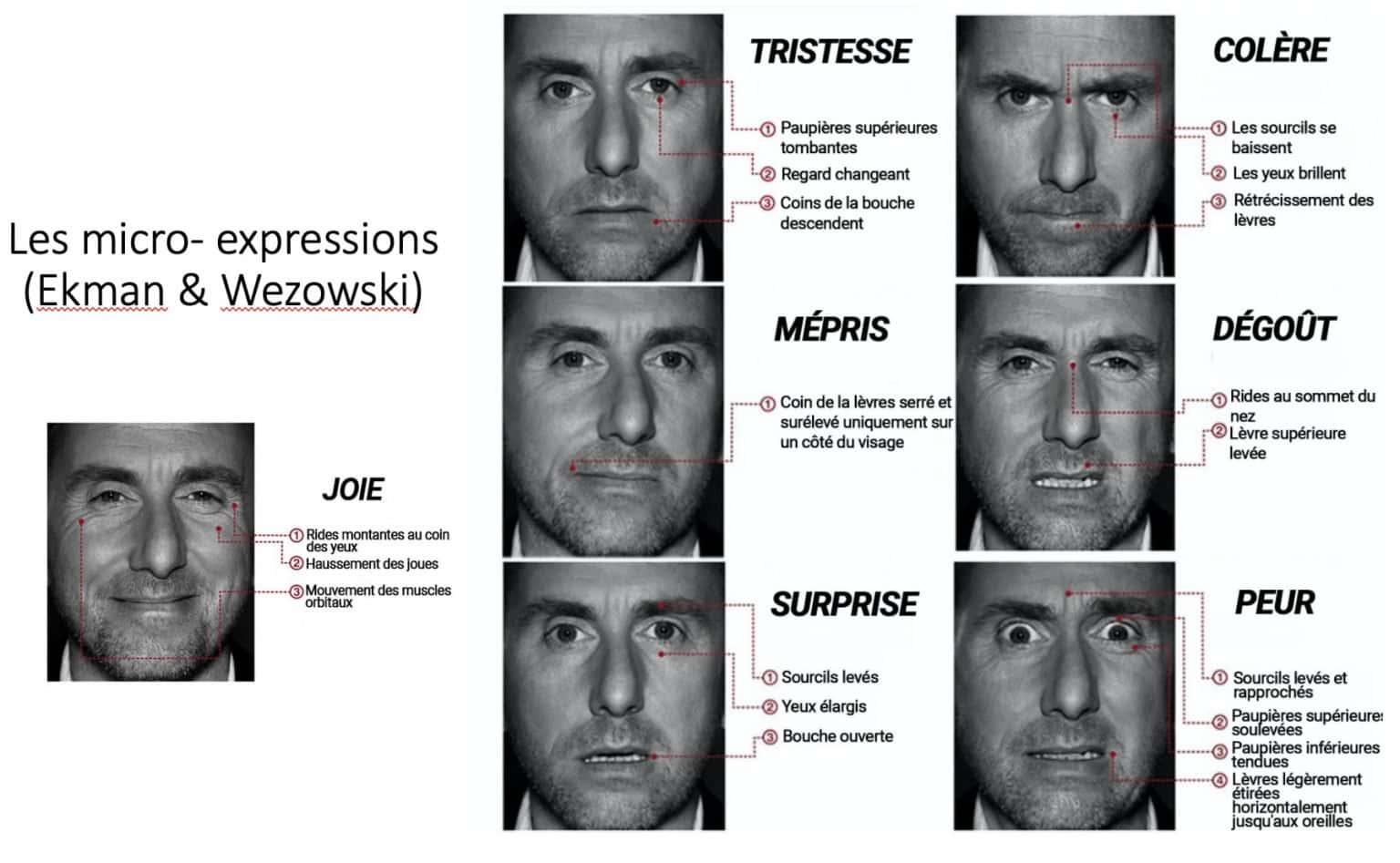 Apprendre à décoder les micro-expressions pour identifier les émotions ...